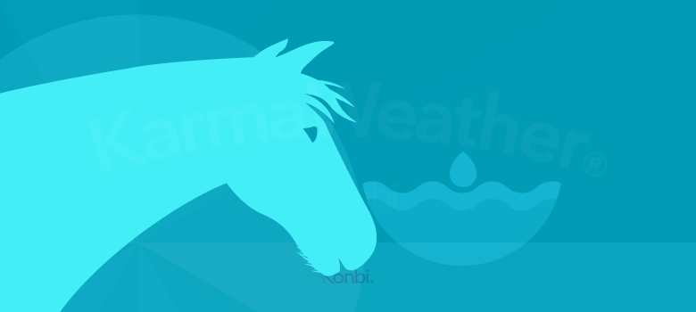 Chinese zodiac for year 2002 - JessicaGMendoza.com