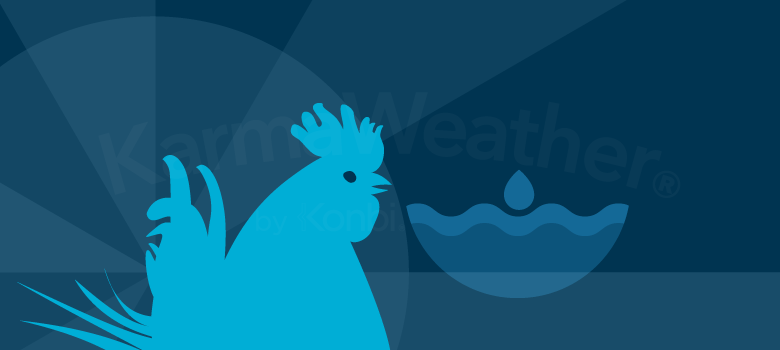 Water Rooster's Chinese calendar (1933, 1993)